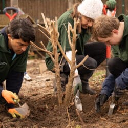 Student Zone - Great Oaks College, Great Oaks College